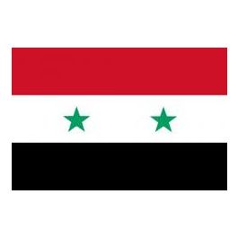 Drapeau Syrie 200 x 300 cm - véritable drapeau Syrien en tissu : Promociel