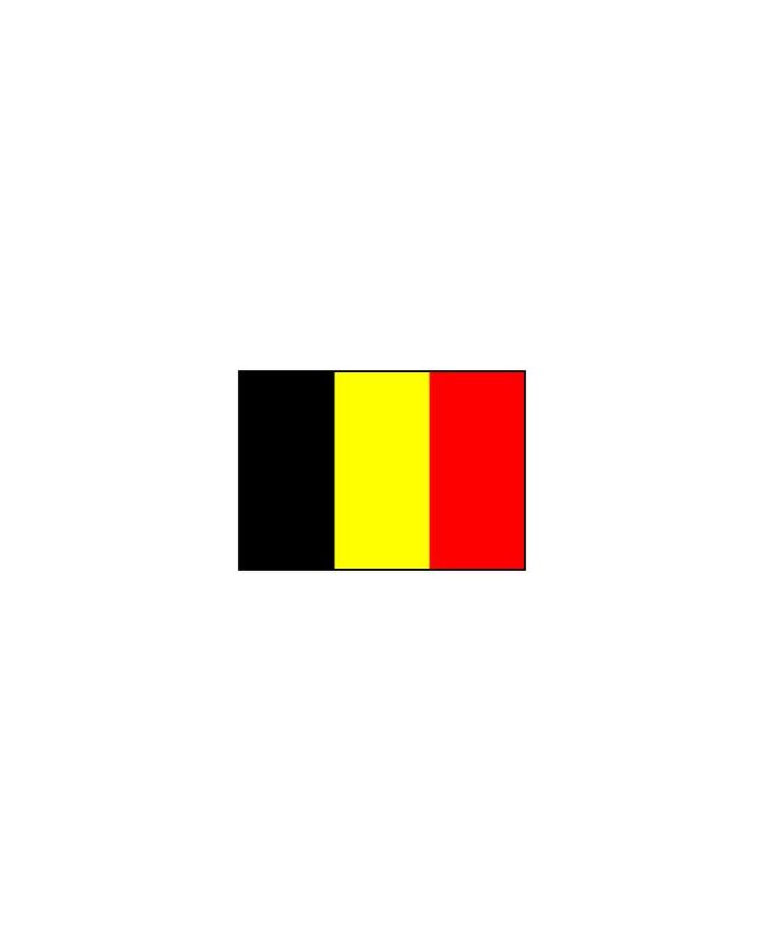 Drapeau adhésif Belgique 20 x 30 cm - Drapeaux adhésifs : Promociel
