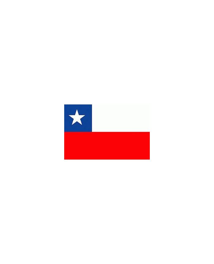 Drapeau du Chili 100 x 150 cm - véritable drapeau Chilien en tissu ...