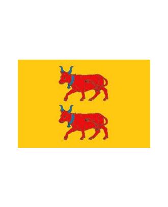 Drapeau Béarn 100 x 150 cm - véritable drapeau Béarnais en tissu ...